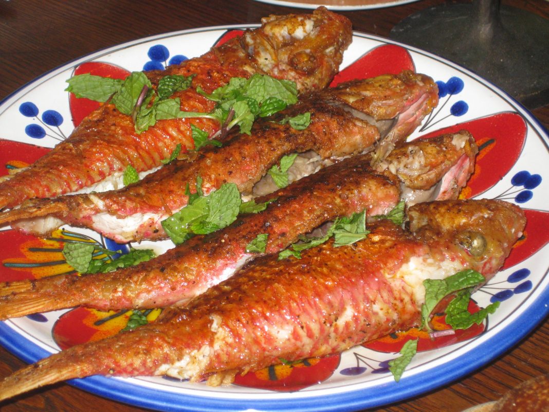 The Red Mullet – Everything You Need To Know About The Famous Type Of ...