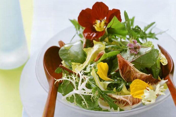 The Rich History of Using Flowers in the Italian Cuisine - Antonio ...